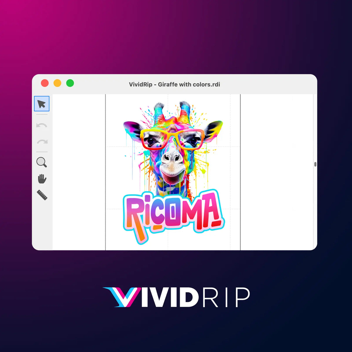 VividRIP Software – Ricoma International Corp